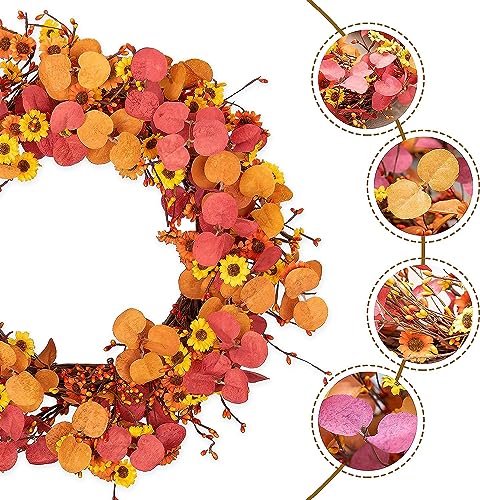 DIYFLORU Fall Wreaths for Front Door 22 inch Autumn Door Wreath Fall Eucalyptus Wreath with Daisy for Thanksgiving Harvest Festival Indoors Outside