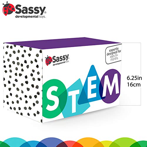 Sassy Stem Baby Box - 8+ Months