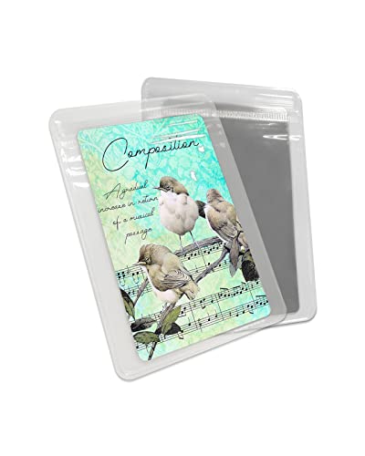 Carosoffe Birds on Branch Small Compact Mirror for Purse, Music Score Retro Illustration Aqua Ombre Travel Makeup Mirror for Women Men, Rectangular Handheld Compact Pocket Mirror 2 PCS
