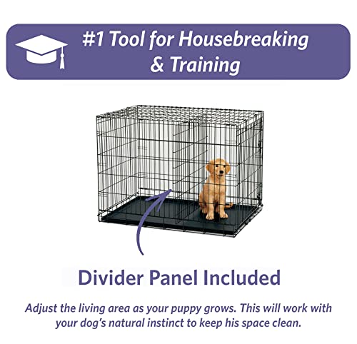 MidWest Homes for Pets Newly Enhanced Single & Double Door iCrate Dog Crate, Includes Leak-Proof Pan, Floor Protecting Feet , Divider Pane l & New Patented Features