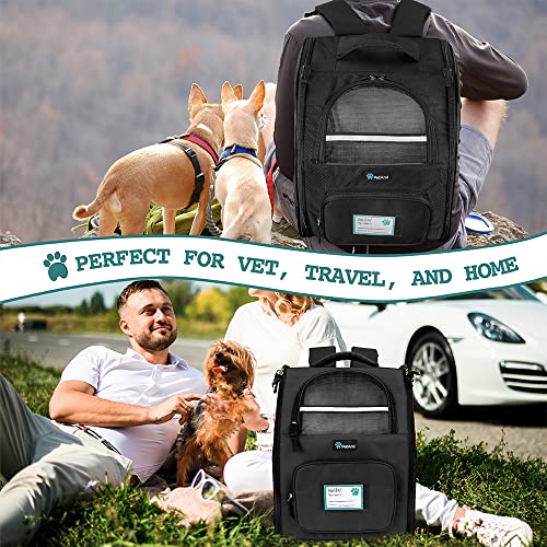 PetAmi Deluxe Pet Carrier Backpack for Small Cats and Dogs, Puppies | Ventilated Design, Two-Sided Entry, Safety Features and Cushion Back Support | for Travel, Hiking, Outdoor Use (Black)