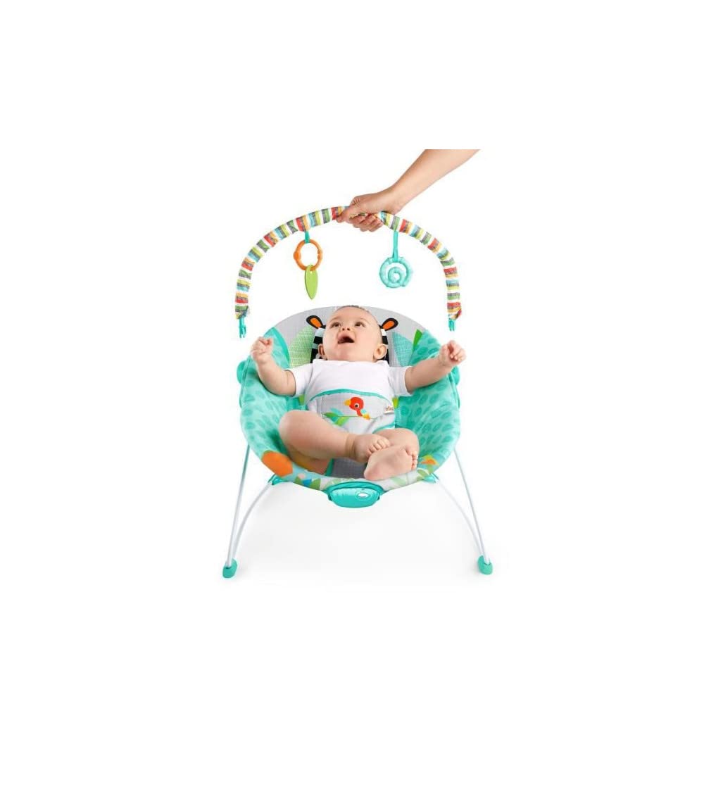 Bright Starts Zig Zag Zebra Vibrating Bouncer Seat, Ages Newborn+