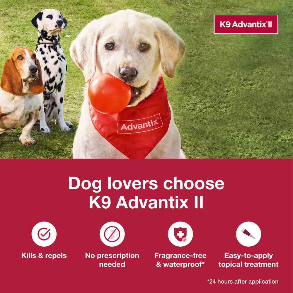 Bayer K9 Advantix II for Dogs 4-10 lbs, 2 Month Supply