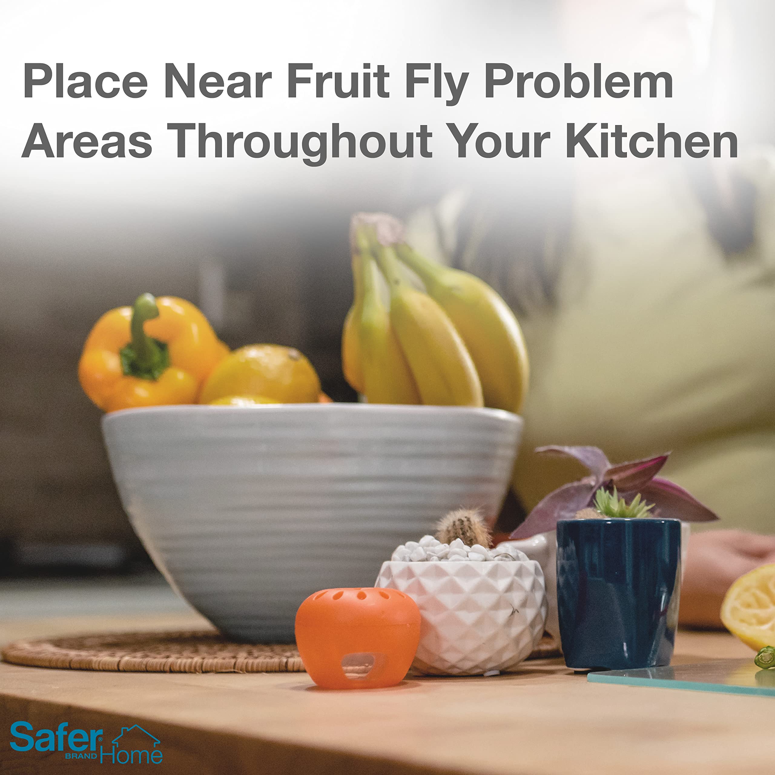 Safer Brand Home SH500SR Indoor Fruit Fly Trap β Ready-to-Use, Non-Staining, No synthetic Insecticides β 2 Traps, Blue