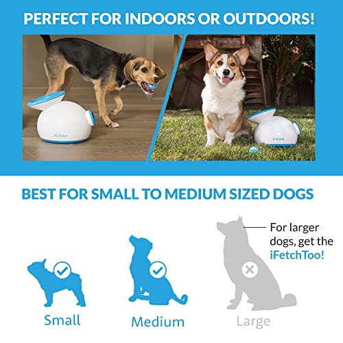 iFetch Interactive Ball Launcher for Dogs – Launches Mini Tennis Balls, Small,Multicolored