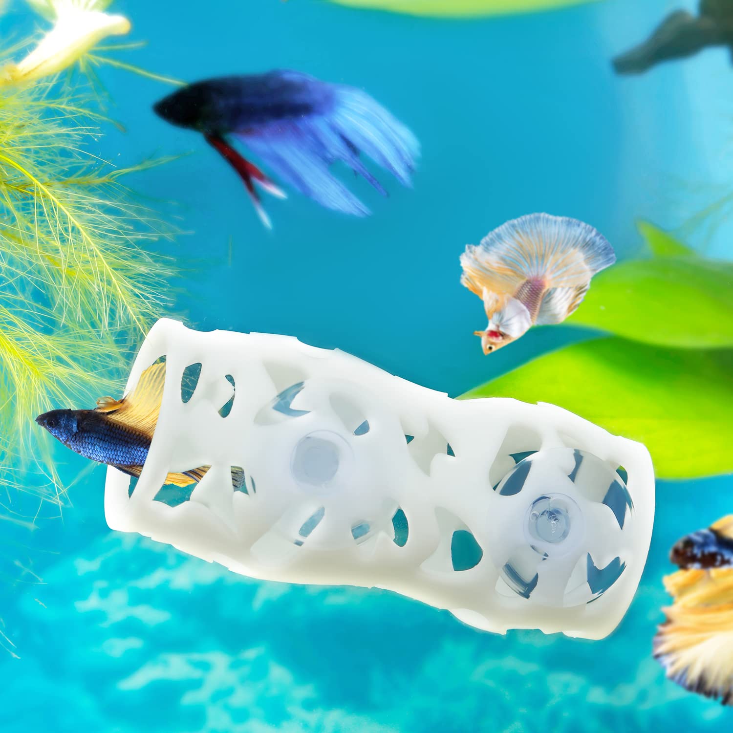 Betta Fish Tunnel, Betta Cave Black, Hollow BettaTunnel Tank Decor, Shrimp Hideout for Corner Fish Passing Or Hiding Shrimp Cichlid Be Covered Easily in Moss to Offer More of A Hide