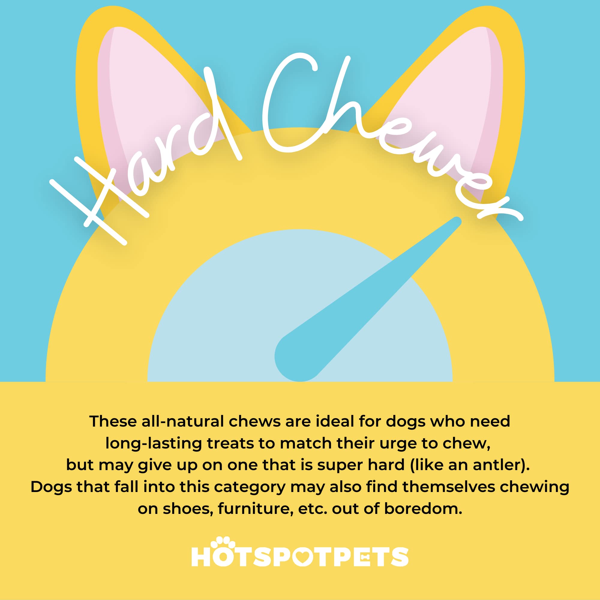 hotspot pets Small Premium Deer Antler for Dogs (3 Pack) - 4-8 Inch Long Lasting Antler Dog Chews Naturally Shed Deer Antlers Bone for Small & Medium Breed Aggressive Chewers - Sourced in USA