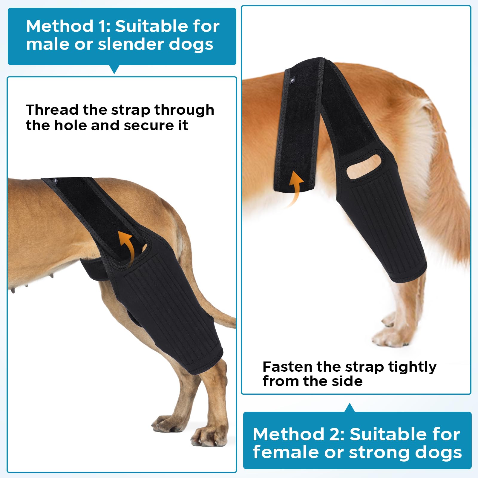 Ceuku Dog Knee Brace for ACL Hind Leg, Dog Leg Braces for Back Leg with Metal Spring Support, ACL Brace for Dogs Rear Leg Tear CCL with Dog Pull Collar, Support for Medium and Large Dogs(Size XL)