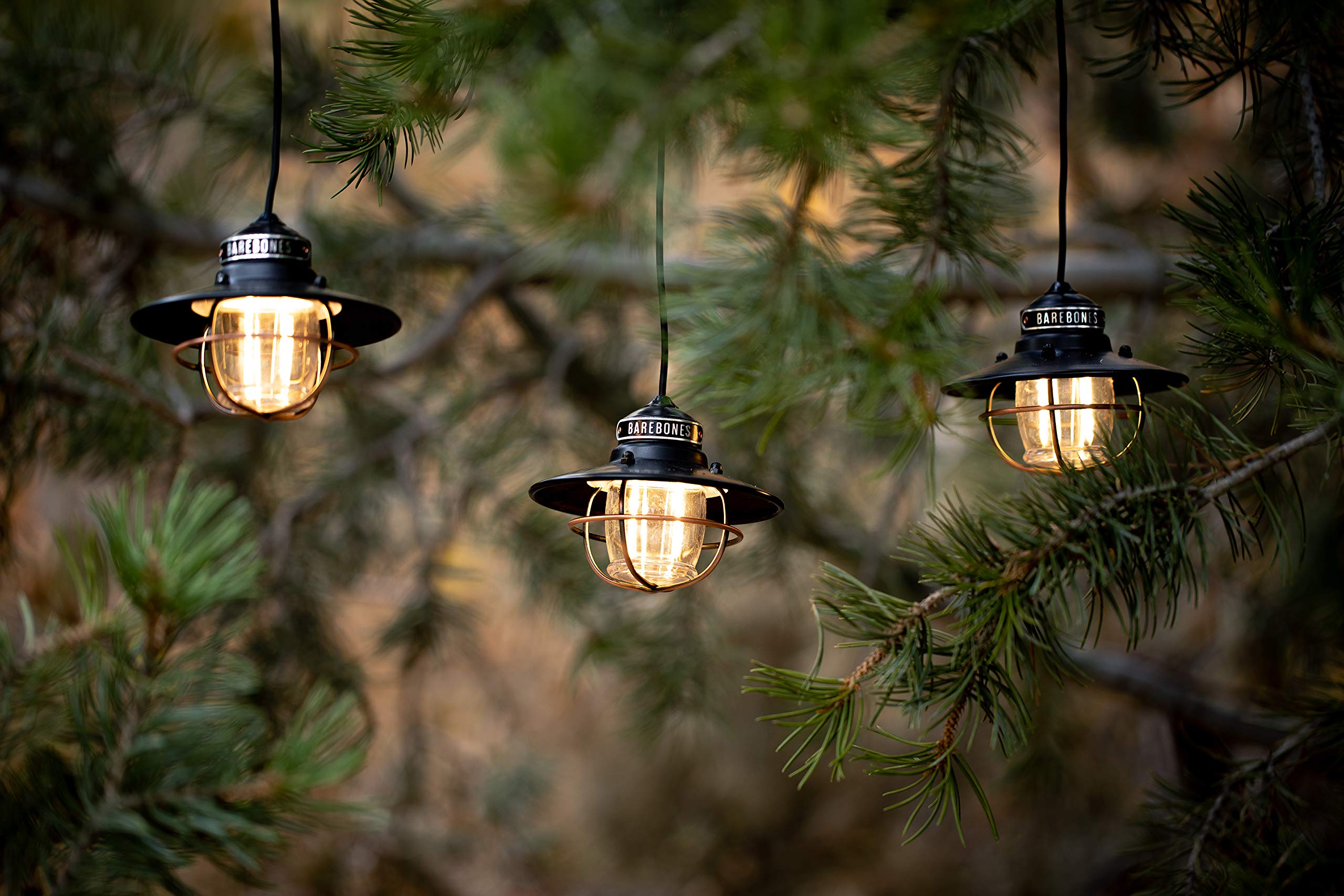 Barebones Edison Pendant String Lights - Forest Lantern, Lantern, and Railroad Lantern - Formal Outdoor String Lights Edison and String Lanterns (Antique Bronze)