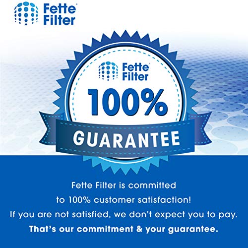 Fette Filter - 116130 Premium True HEPA H13 Filter H Compatible with Winix Filter H 116130 for Winix Model 5500-2 AM80 Air Purifier Includes 2 Pack Ture HEPA Filters + 2 Pack Activated Carbon Pre-Filters