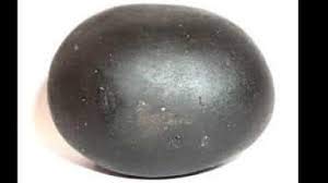 Finaldeals Natural Shaligram Shila Laxmi Narayan Abhimantrit Shree Shaligram For Home Temple