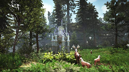 Black Desert: Prestige Edition - Xbox One