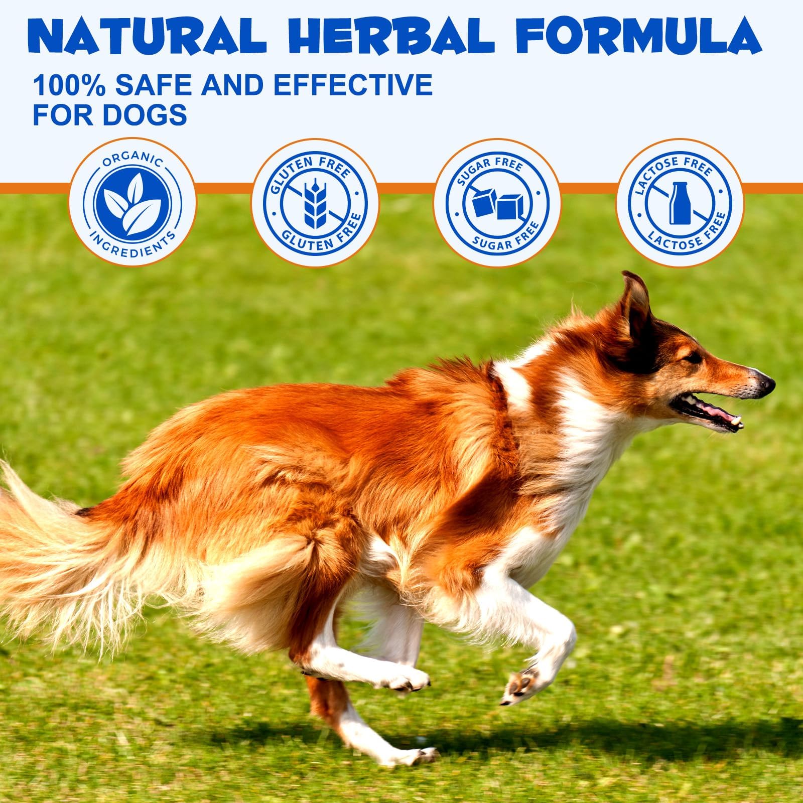 Dog Joint Aid & Relief Supplement with Chondroitin & Glucosamine HCl β Relieves Joint Pain & Reduces Inflammation for Senior Dogs, Active Adults & Puppies