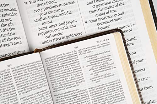ESV Super Giant Print(Font Size - 17pt) Bible (TruTone, Black)