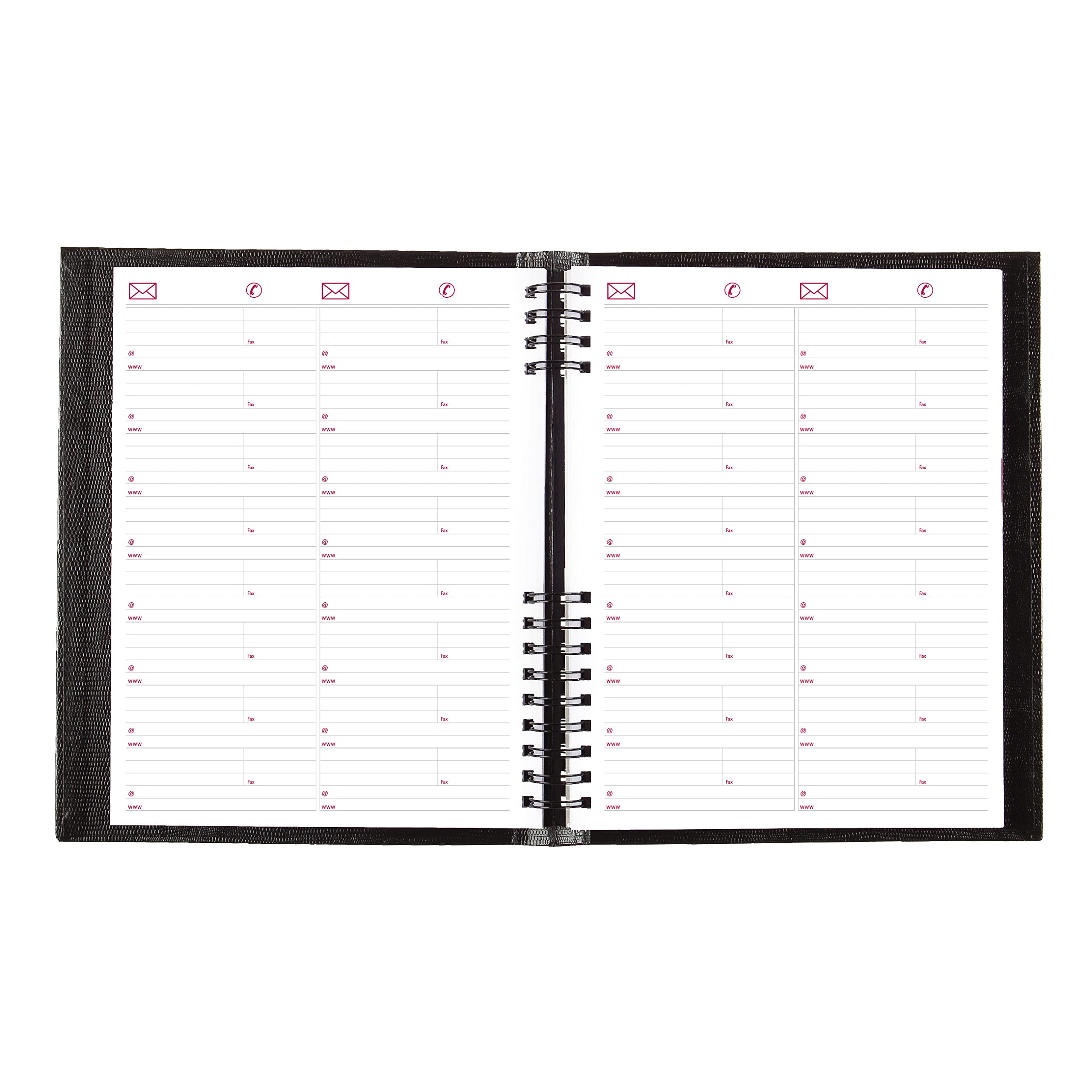 Brownline 2024 CoilPro Daily Professional Planner, Four-Person Appointment Book, 12 Months, January to December, Twin-Wire Binding, 11" x 8.5", Black (CB960C.BLK-24)