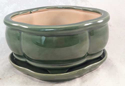 Bonsai Tree Pot creative design green 6 Inch Bonsai Pots with Trays- unique from Jmbamboo