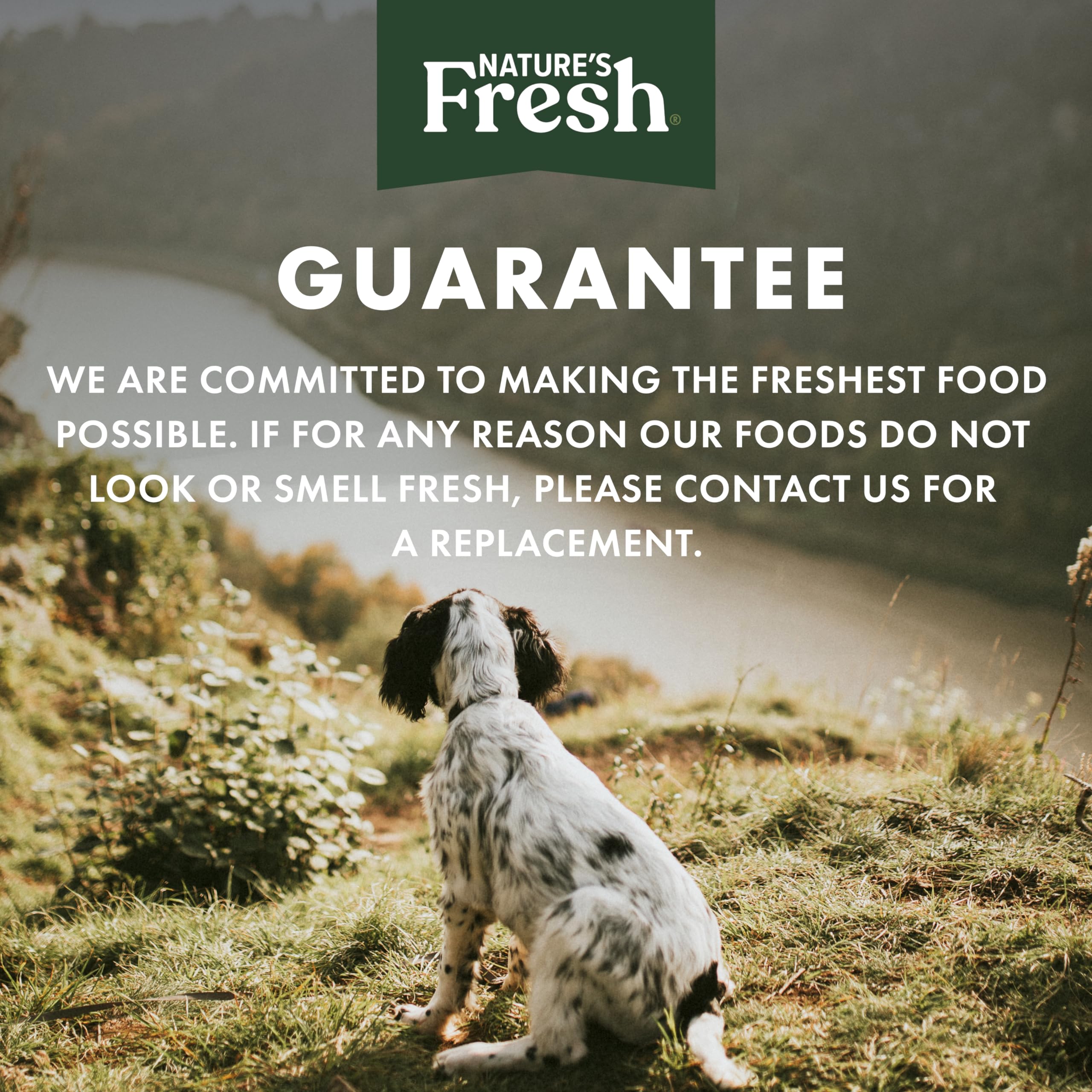 FRESHPET Beef Garden Vegetables Grains 5Lb Dog Food, 80 OZ