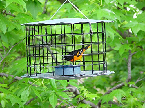 Erva Bluebird Feeder - Includes Meal Worm Cup - Designed to Keep Squirrels Out - Made in The USA