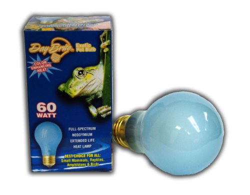 PQL DAY-BRITE 60 WATT