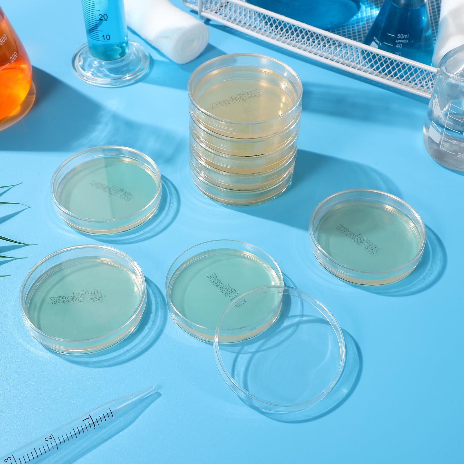Generic Agar Plates:Prepoured Nutrient Agar Petri Dishes Science Projects Supplies Growth Medium for Mushrooms & Science Fair Projects,10 pcs