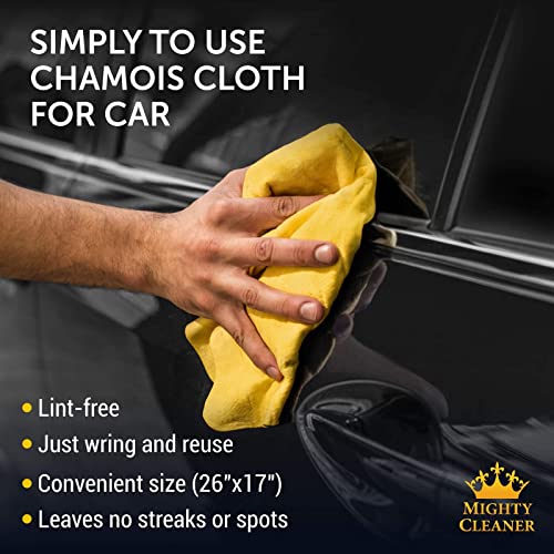 Premium Chamois Cloth for Car Drying - 26βx17β - Super Absorbent Reusable Shammy Towel for Car + Storage Tube - Scratch-Free Car Shammy Towel