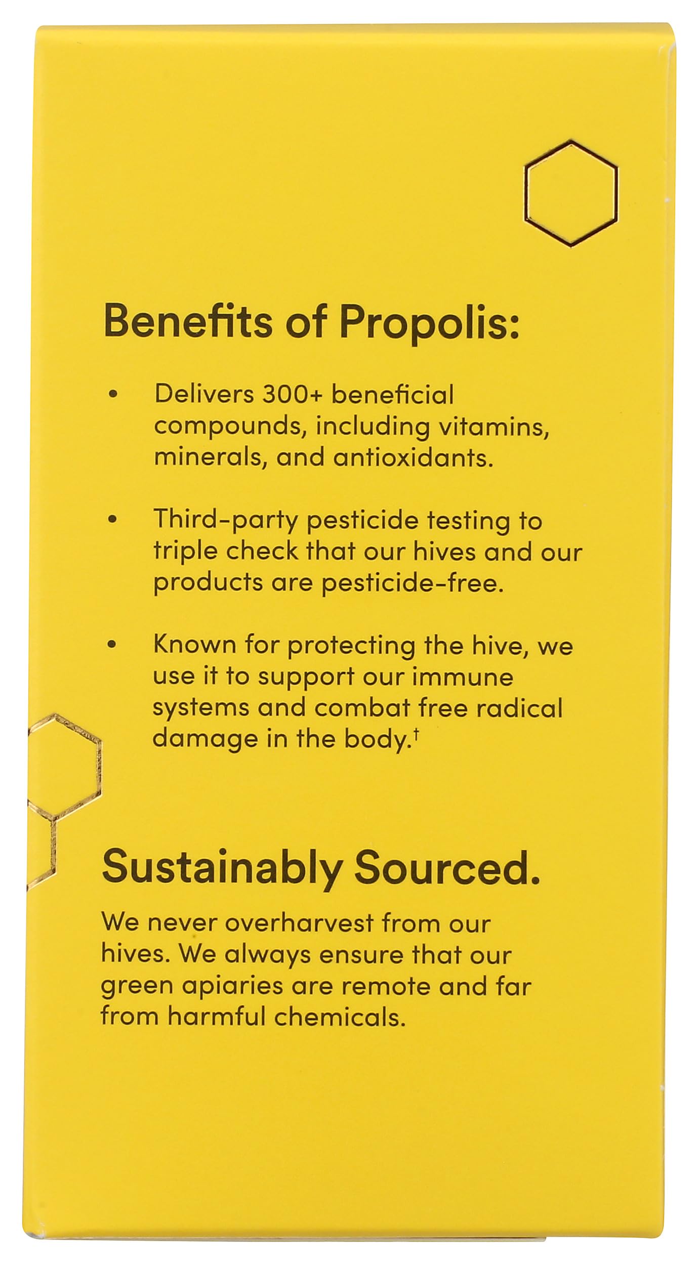 Beekeepers Naturals Propolis Sinus Support, 60 CT