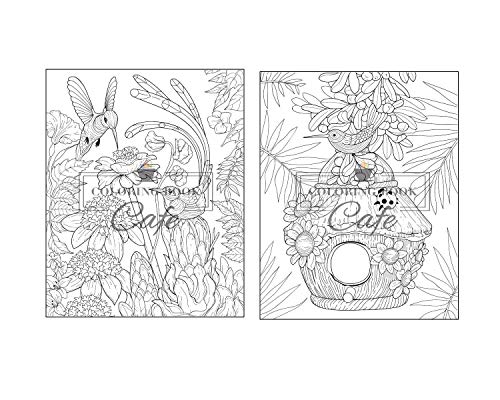 Hummingbird Coloring Book: An Adult Coloring Book Featuring Charming Hummingbirds, Beautiful Flowers and Nature Patterns for Stress Relief and Relaxation