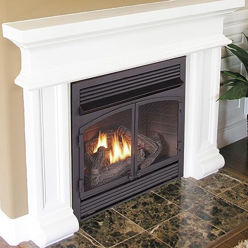 Duluth Forge Dual Fuel Ventless Gas Fireplace Insert, Remote Control, 6 Fire Logs, Use with Natural Gas or Liquid Propane, 32000 BTU, Heats up to 1500 Sq. Ft., Black