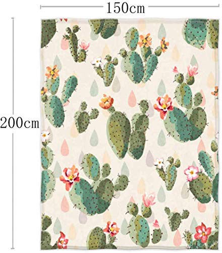 QH Cute Cactus Super Soft Throw Blanket for Bed Couch Lightweight Blanket 58 x 80 Inch for All Seasons
