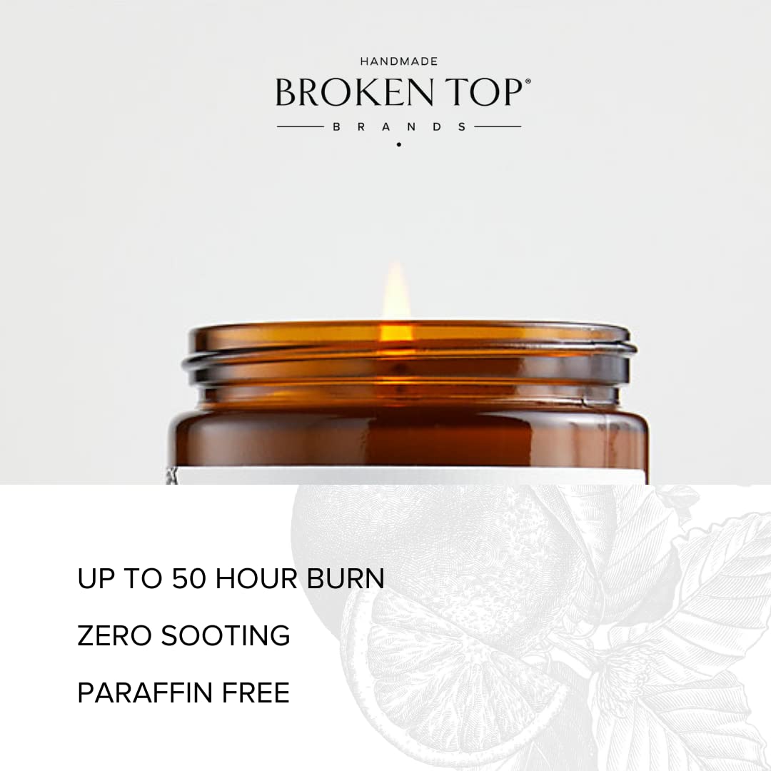 Broken Top Candle Company Citrus Herbed Tonic Amber Jar Candle, 9 OZ
