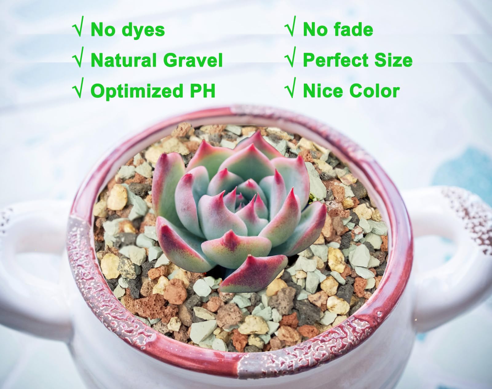 Boniosz 5lb Bonsai Succulent and Cactus Soil Gritty Mix Rocks Gravel for Terrarium Top Dressing Decorative Pebbles Potting Soil Amendment for Pots Indoor Plants, Fast Drainage, Neutralize Soil PH