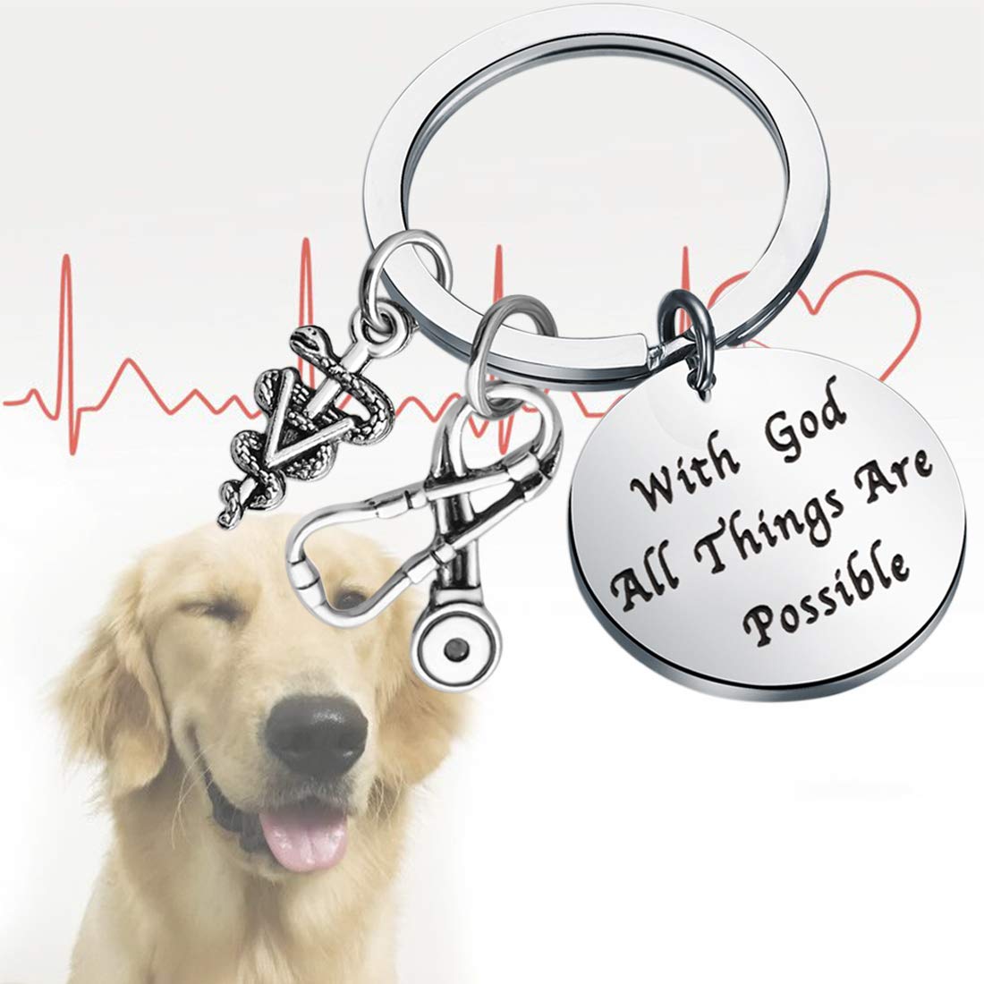 BEKECH Veterinarian Gift Veterinary Technician Gift with God All Things are Possible Keychain with Caduceus Stethoscope Charm Vet Tech Jewelry Animal Rescue Gift (Silver)