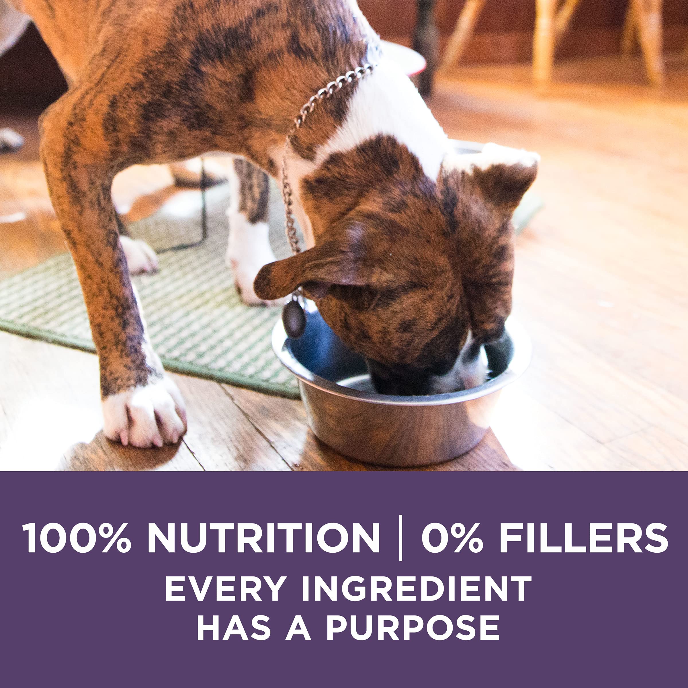 Purina ONE High Protein Dry Senior Dog Food Plus Vibrant Maturity Adult 7 Plus Formula - 8 lb. Bag