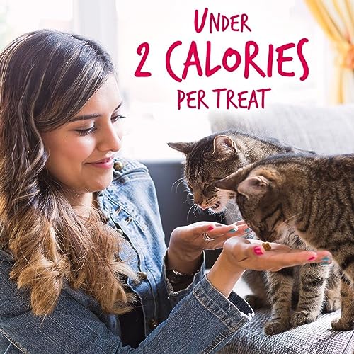 Fruitables Cat Crunchy Treats For Cats β Healthy Low Calorie Packed with Protein β Free of Wheat, Corn and Soy β Made with Real Salmon with Cranberry β 2.5 Ounces