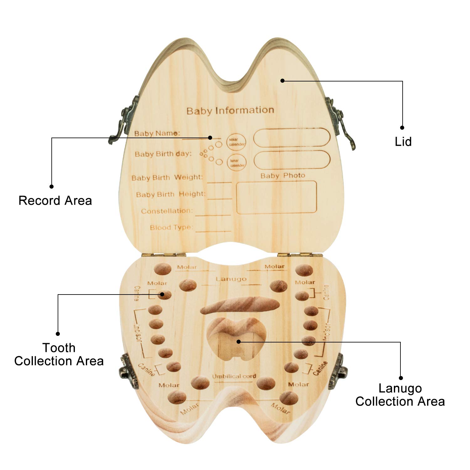 Baby Teeth Keepsake Box Tooth Fairy Holder Wooden First Lost Deciduous Tooth Collection Organizer Storage for Kids Memory(Boy)
