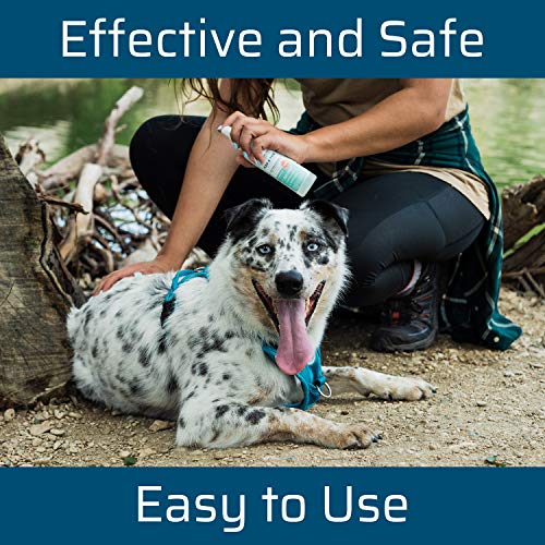 Wondercide - Flea, Tick and Mosquito Spray for Dogs, Cats, and Home - Flea and Tick Killer, Control, Prevention, Treatment - with Natural Essential Oils β 4 oz Lemongrass & Cedarwood 2-Pack