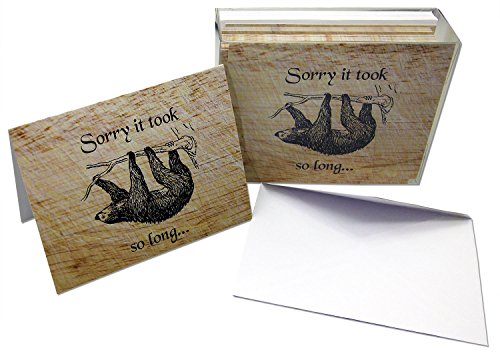 Small World Greetings Sorry It Took So Long Sloth Greeting Card 12 Count - Blank Inside with Envelopes - A2 Size (5.5"x4.25") - Belated Birthday, Late Shipment, Apology, Belated Thank You