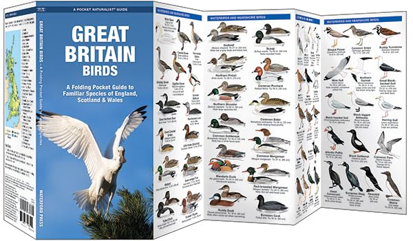 Great Britain Birds: A Folding Pocket Guide to Familiar Species of England, Scotland & Wales (Nature Observation International)