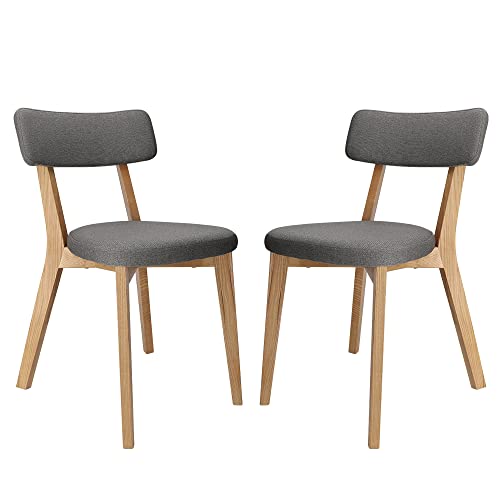 Fishat Simple Double Rod Garment Rack & SAH Solid Wood Dining Chair Set of 2