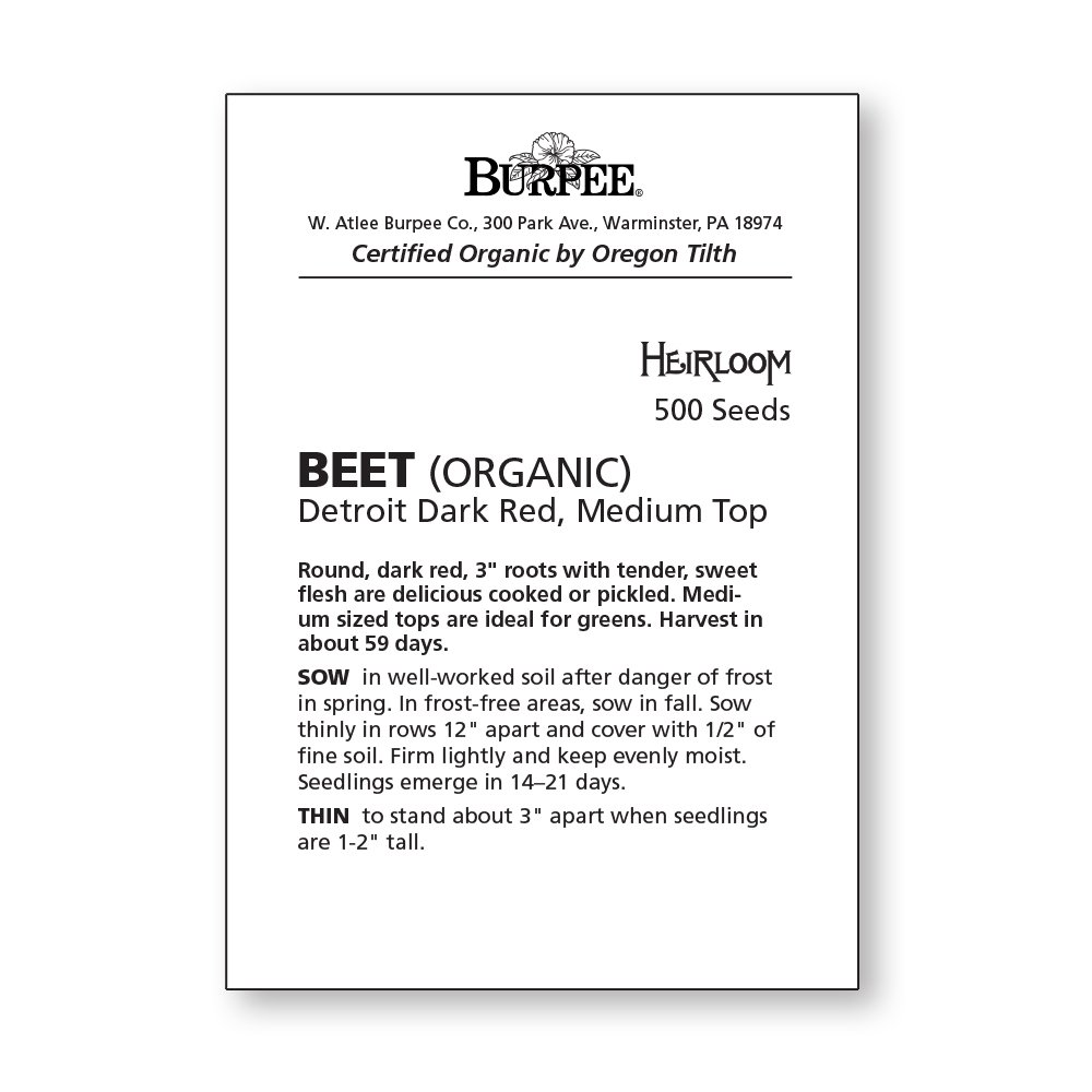 Burpee Detroit Dark Red Medium Top Beet Seeds 500 seeds