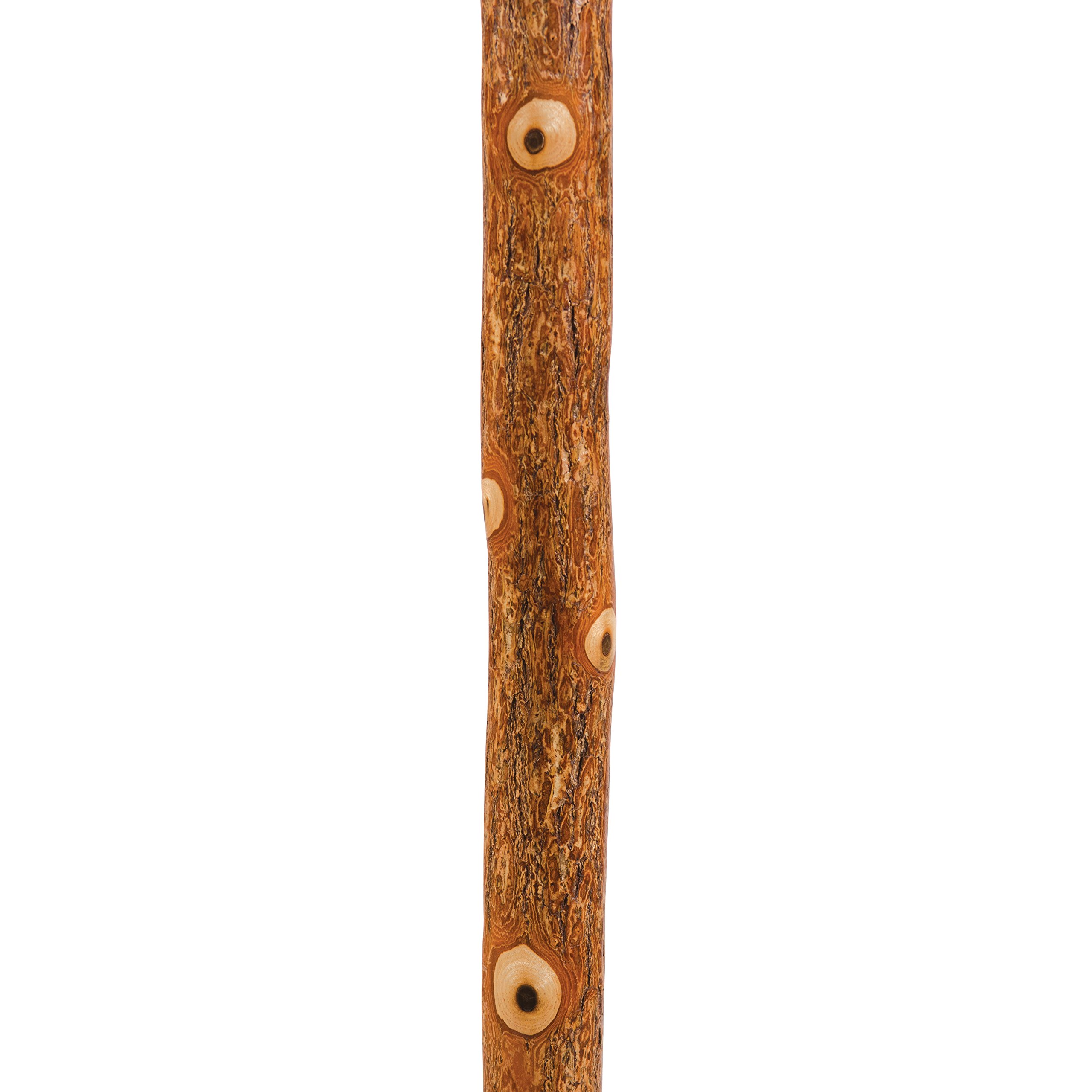 Brazos 58" Free Form Sassafras Wood Walking Stick Hiking Trekking Pole, Made in the USA
