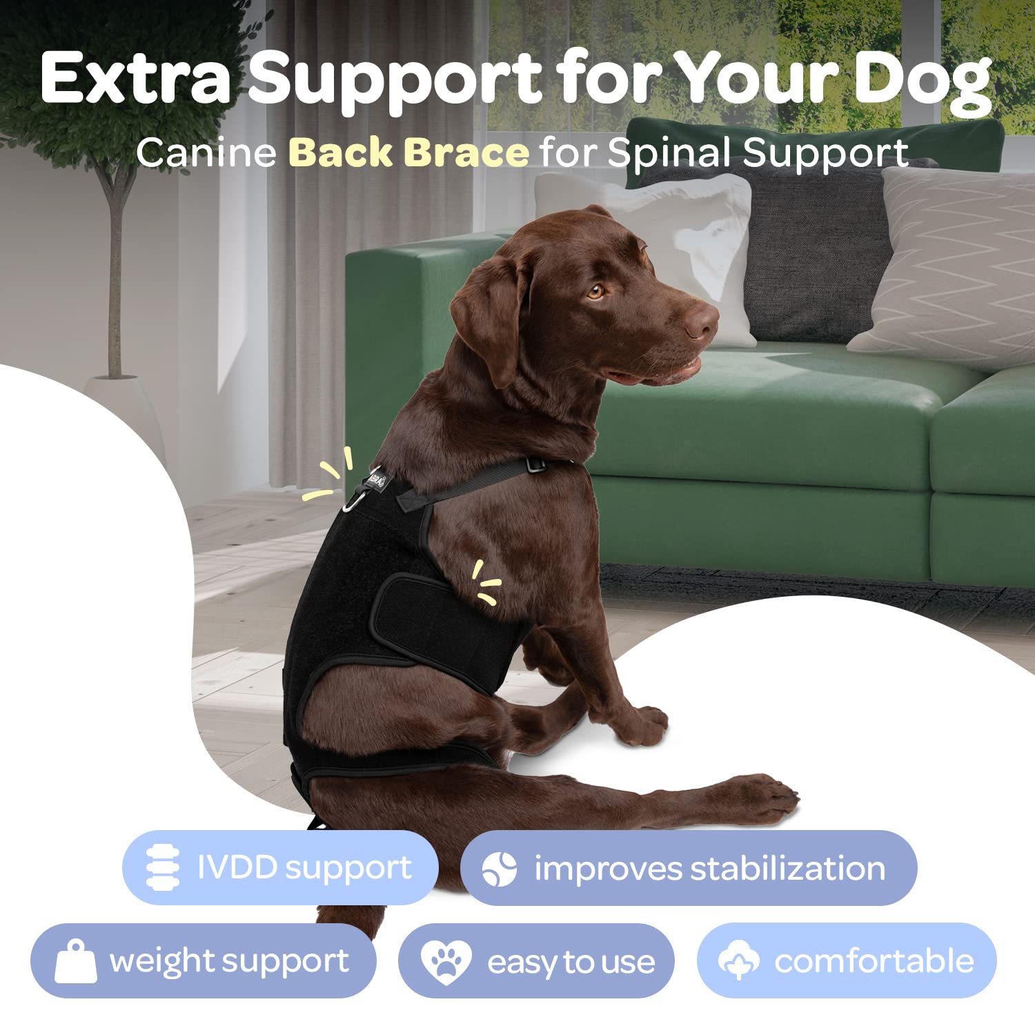 Labra Dog Canine K9 Back Brace - IVDD Spine Pain & Spinal Injury, Arthritis, Bulging Discs Brace for Corgis, Dachshund, Post Surgery Recovery, Rehab, Inflammation - Small
