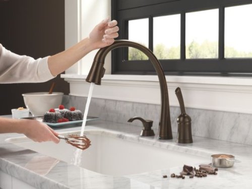 Delta Faucet Pilar Kitchen Soap Dispenser for Kitchen Sinks, Venetian Bronze RP50781RB