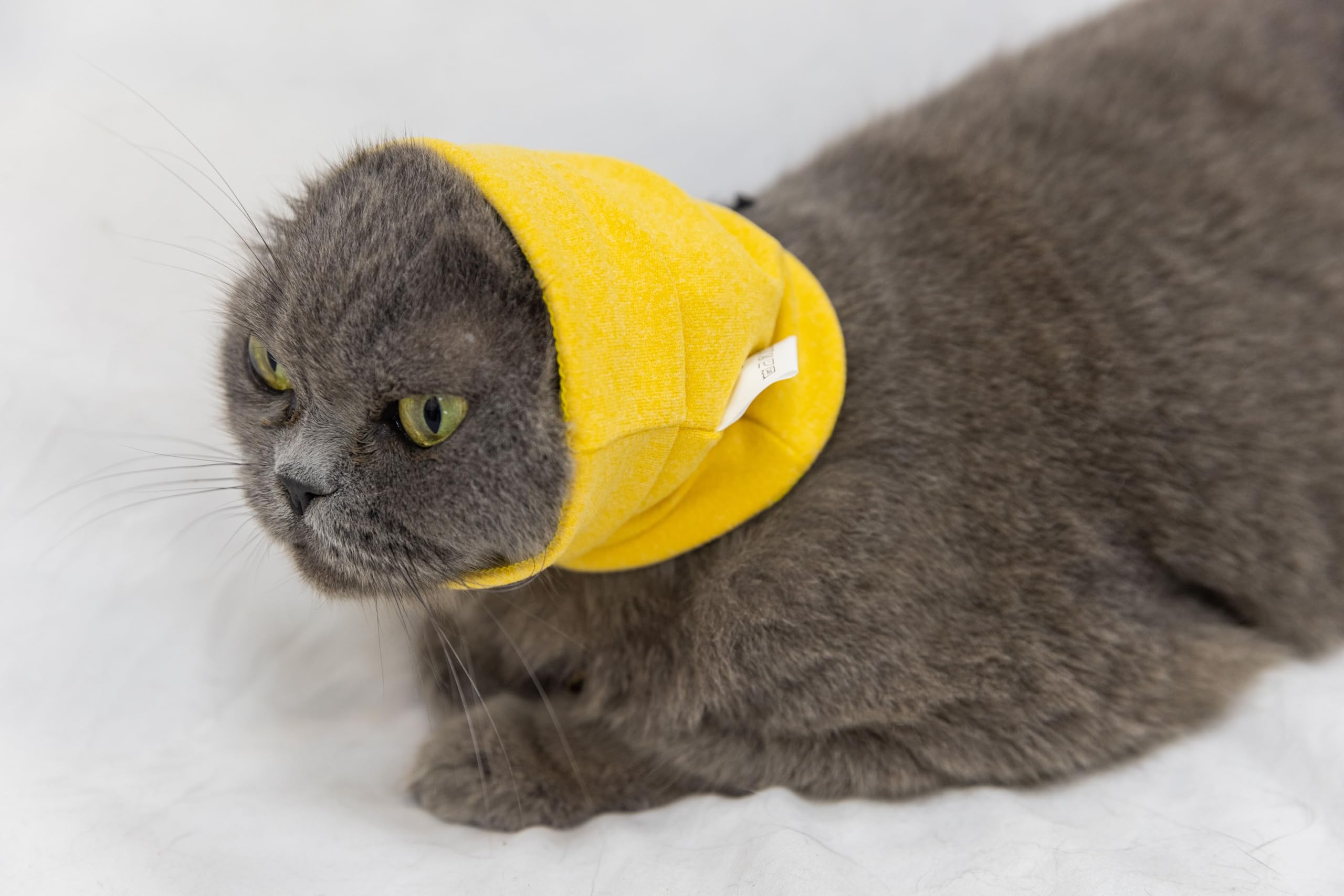 DDFS Cat Hematoma Ear Wrap,Cat No Flap Ear Wrap Anxiety & Stress Relief - No Flap Ear Wrap for Cats Yellow S
