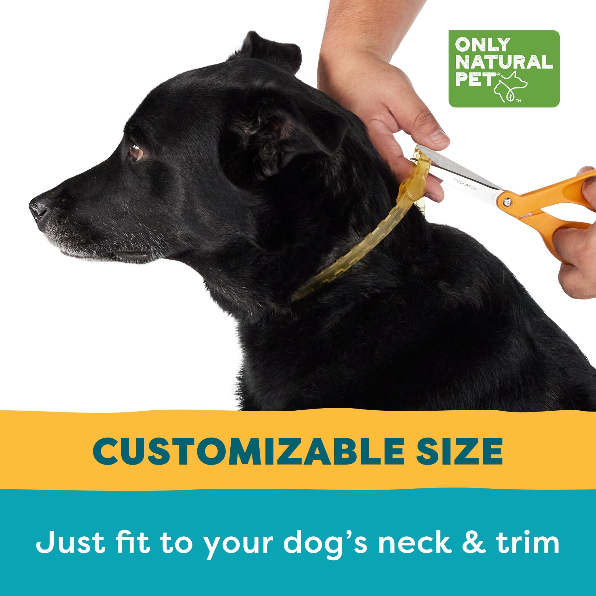 Only Natural Pet EasyDefense Flea & Tick Dog Collar - Canine Flea Collars Flea and Tick Control - Pet Flea Care That Protects up to 4 Months - for Dogs (2 Pack)