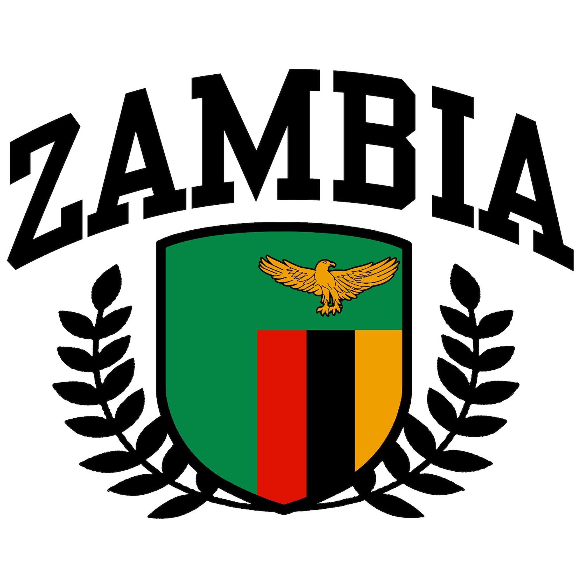 CafePress Zambia Rectangle Magnet, 3"x2" Refrigerator Magnet