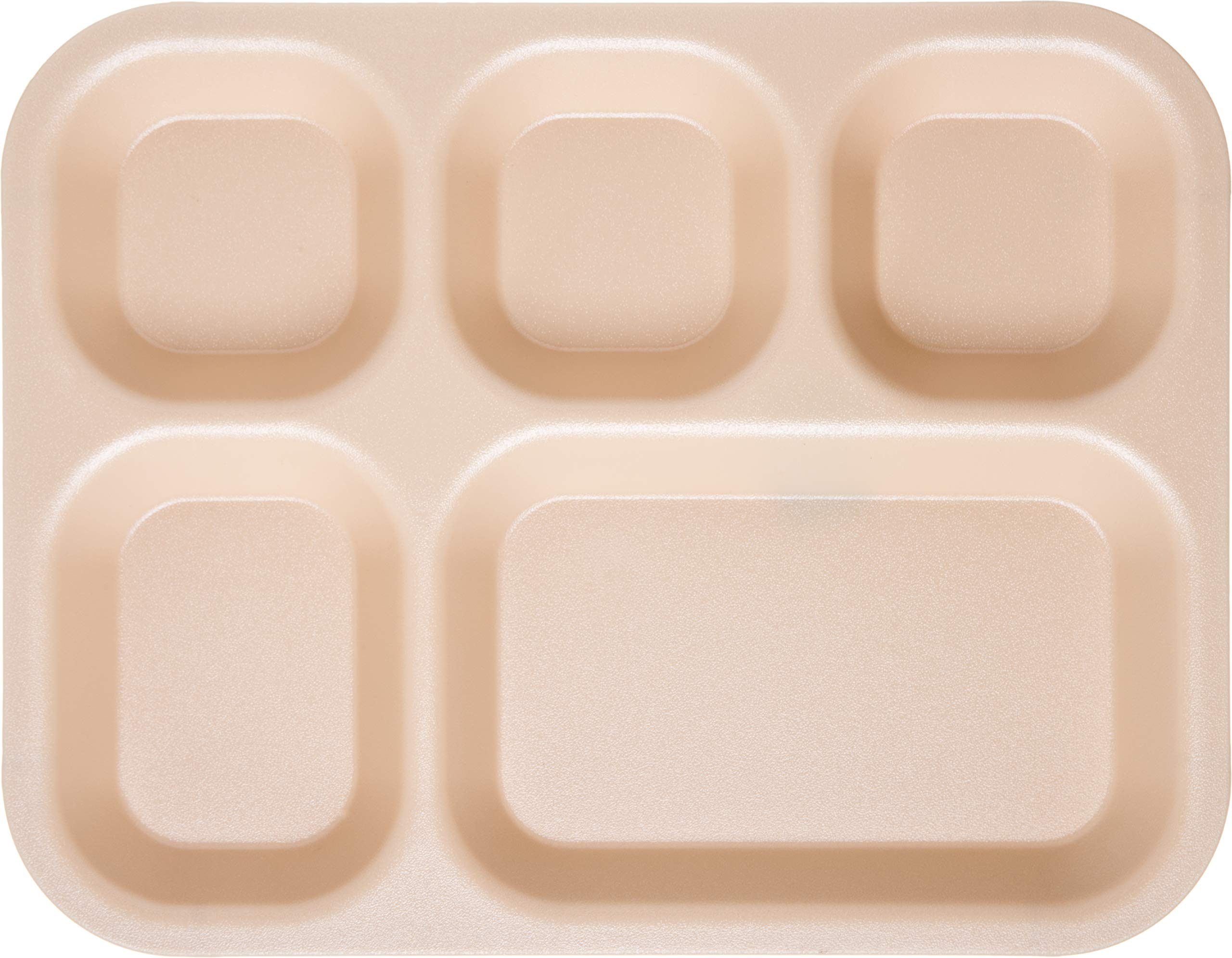 Polycarbonate 5-Compartment Tray