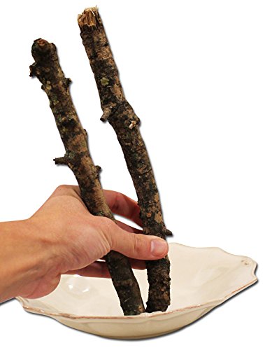Caveman Chopsticks - Funny Chopsticks - Funny Gag Gifts - Gag Gifts for Dieters - Primitive Eating Utensils - Primitive Utensils by Gears Out