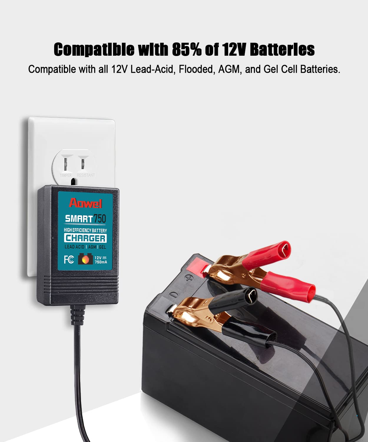 Aowel 750mA Trickle Battery Charger, 12V Fully-Automatic Smart Charger Battery Maintainer for Cars, Motorcycle, ATVs and More