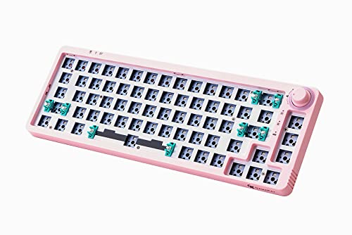 GK GAMAKAY LK67 65% RGB Modular DIY Mechanical Keyboard, 67 Keys Hot Swappable 3pin/5pin Switch, Programmable Triple Mode Bluetooth 5.0/USB-C Wired/2.4GHz Wireless Customized Keyboard Kit (Pink)